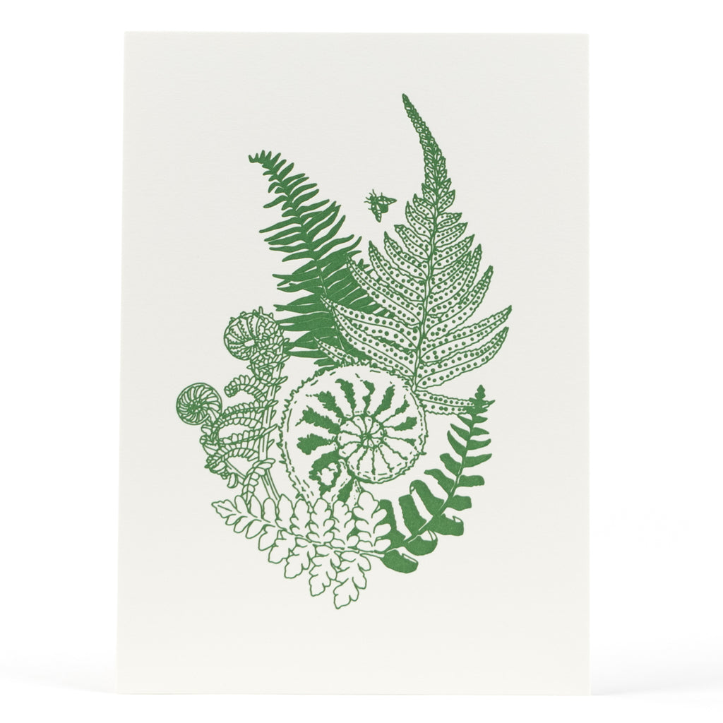 Art Print: Fiddlehead Ferns Letterpress Art Print – Porchlight Press Ltd.