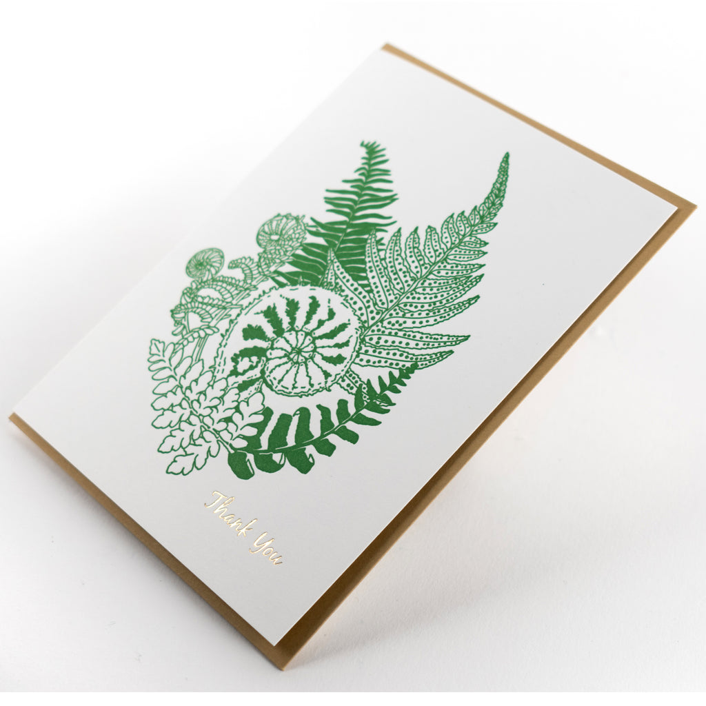 Card: Fiddlehead Fern Thank you Greeting Card - Foraging Series ...